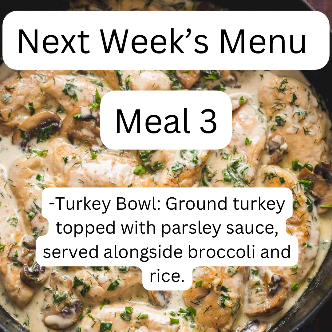 Weekly Meal 3 01/13/25 – Mr. Meal Orlando | Healthy meal prep starting ...
