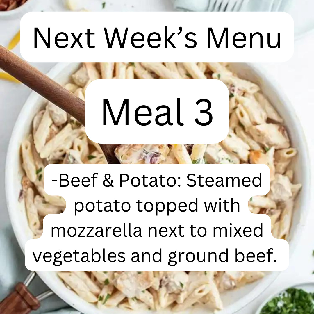 Weekly Meal 3 07/29/24 – Mr. Meal Orlando | Healthy meal prep starting ...